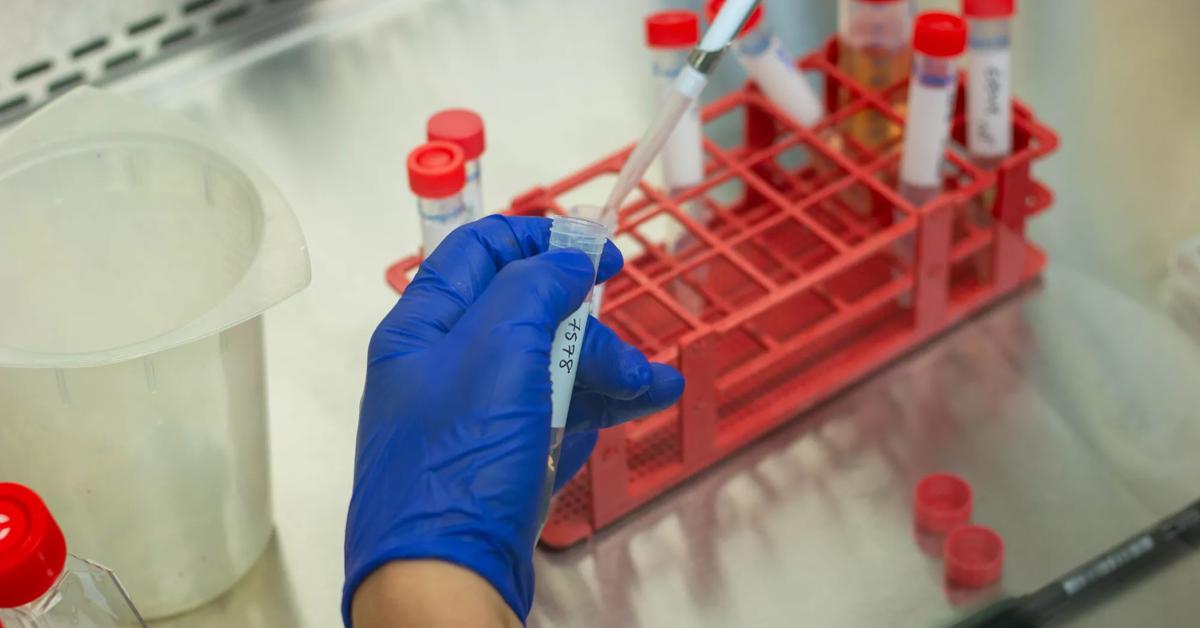 Genetic testing | Anthony Nolan