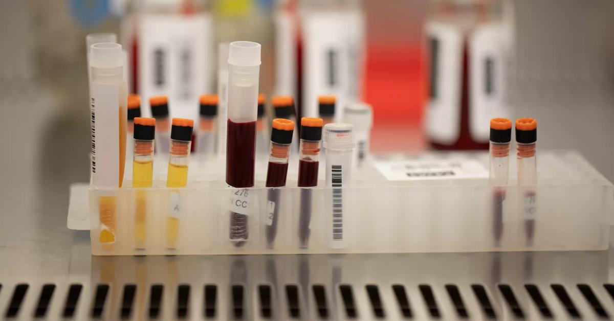 Our Cord Blood Services | Anthony Nolan